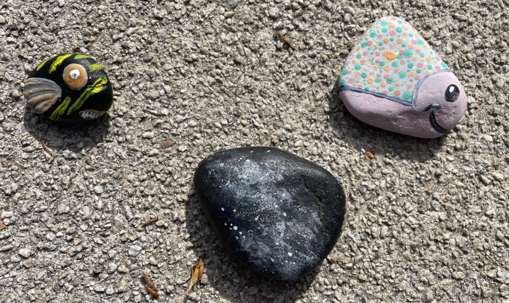 Reading Rocks! at Smallbridge Library - Manchester City of Literature