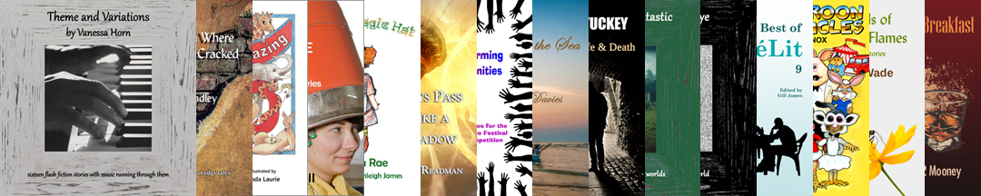 Bridge House Publishing - Manchester City of Literature