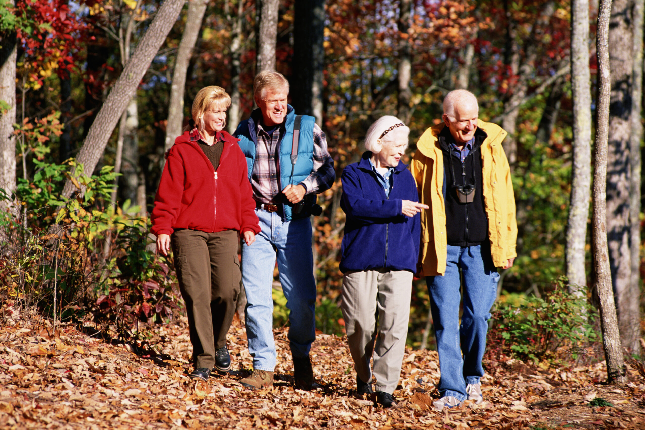 Walking for Health Taster Session at Spotland Library - Manchester City ...